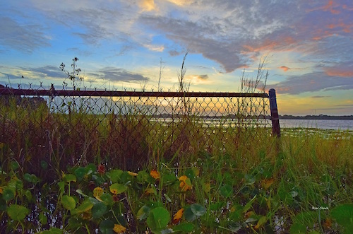 Sunrise from the Lake Miona dock in The Villages - Villages-News.com