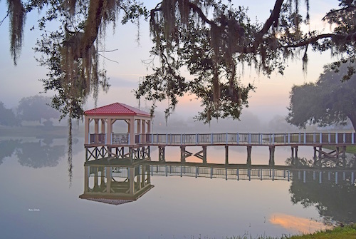 Foggy morning at Golf View Park in The Villages - Villages-News.com